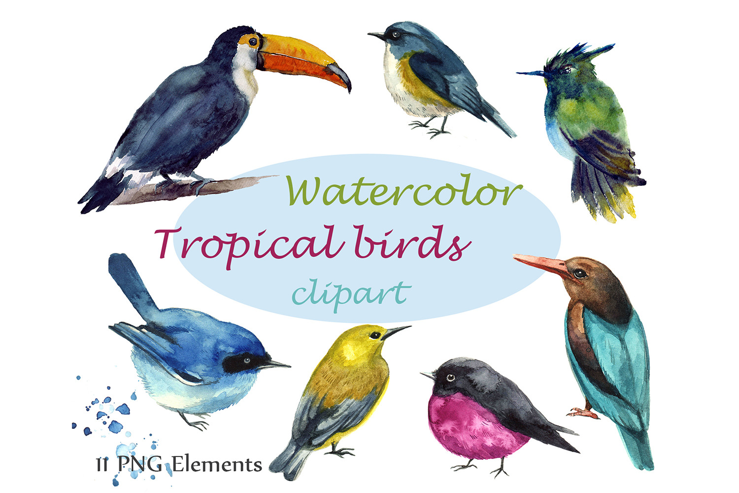 Watercolor clipart. Watercolor birds, an Illustration by KomtsyanTatyanaArt
