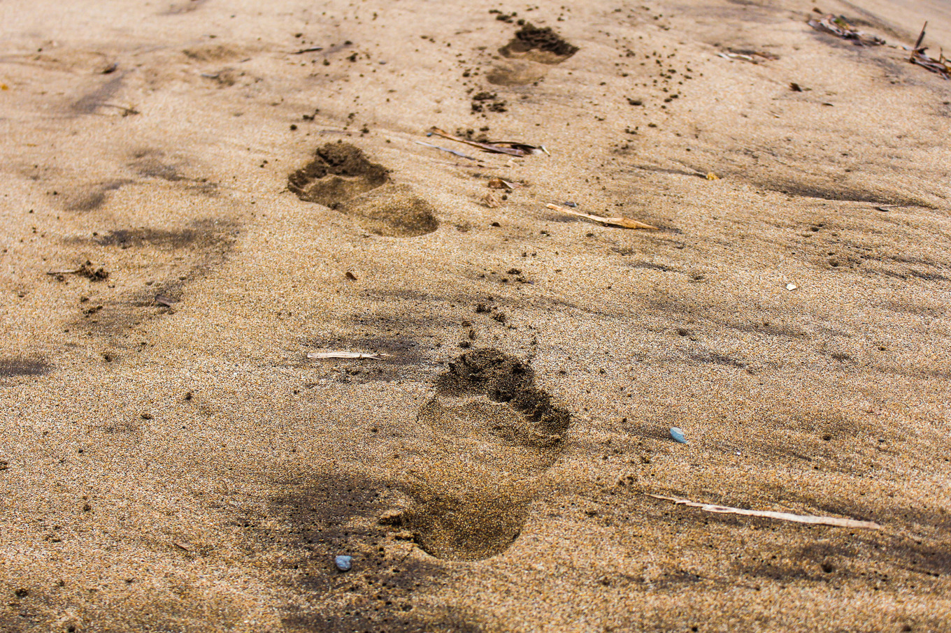 Barefoot in the sand featuring foot, sand, and human, an Abstract Photo ...