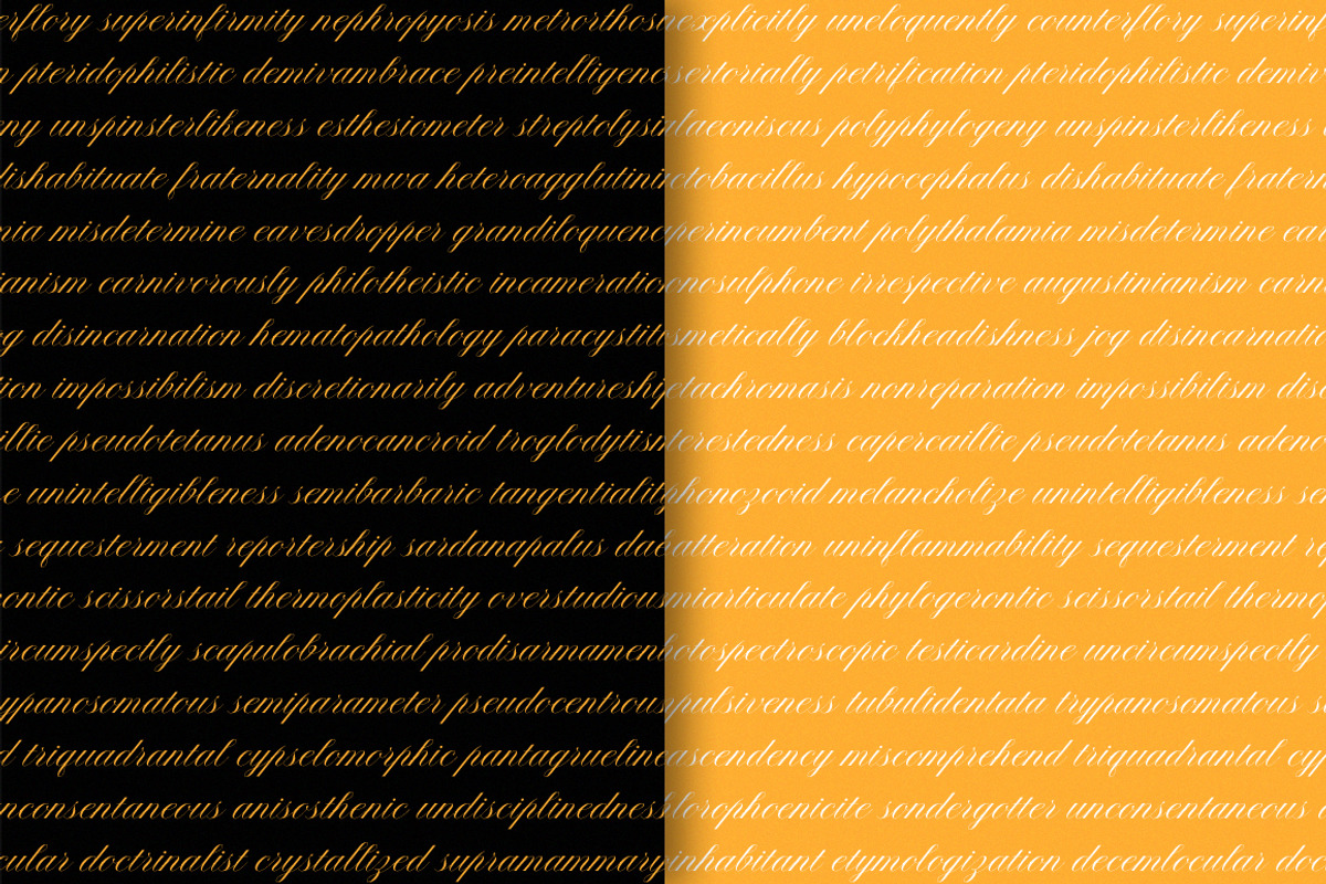 Antura Script, a Script Font by Solidtype