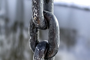 Bridge Chain, a Photo by Fresh Design Elements