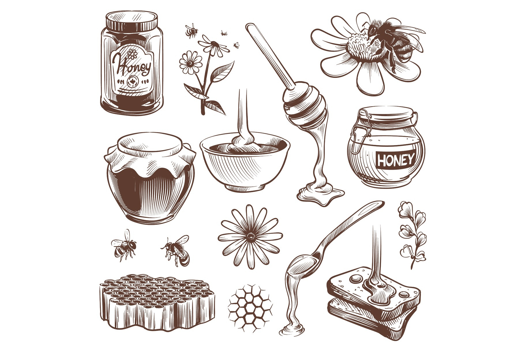 Hand drawn honey. Beekeeping sketch, a Food Illustration by YummyBuum