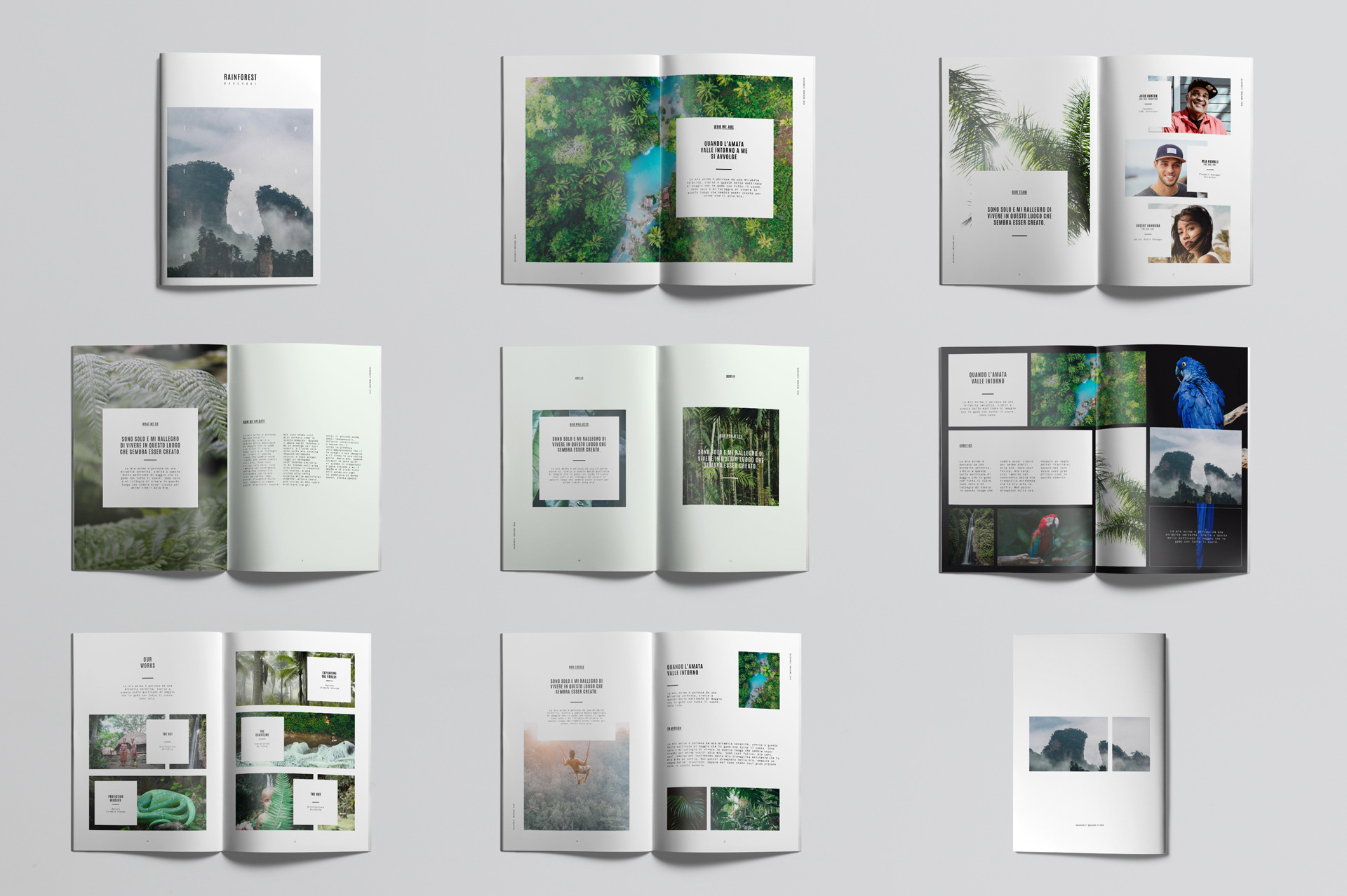 RAINFOREST Brochure / Portfolio, a Brochure Template by Nomad Visuals