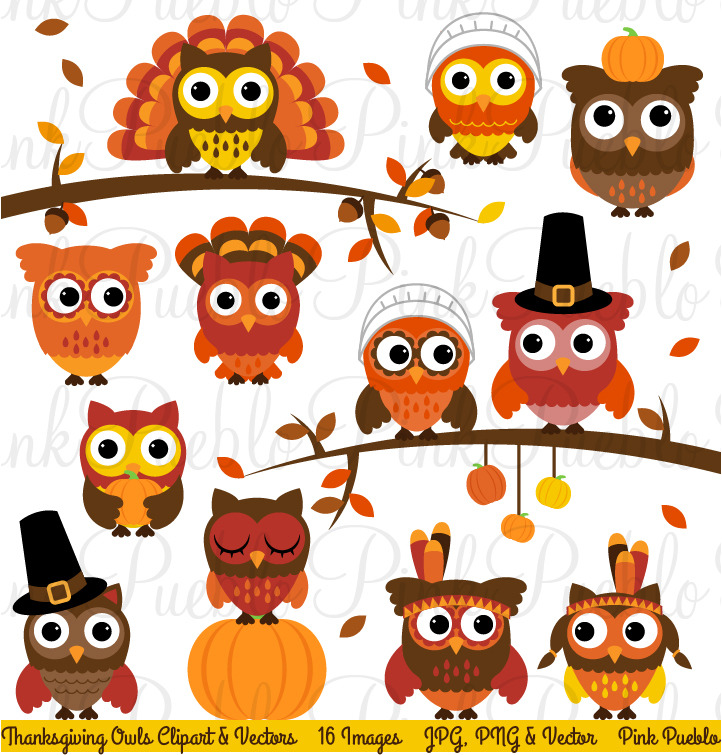 Thanksgiving Owl Clipart & Vectors, a Seasonal Illustration by PinkPueblo