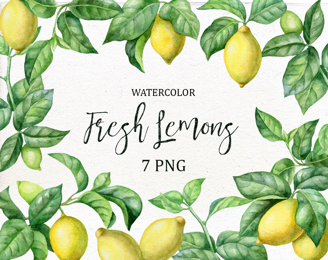 Watercolor Lemons Clipart., an Illustration by Mary