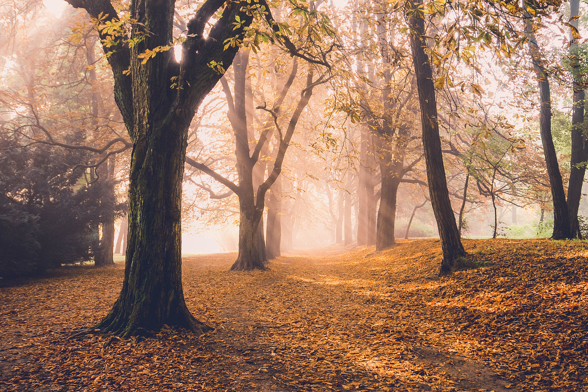 10 Stunning Matte Landscape Presets, a Preset Add-On by Timeless Presets