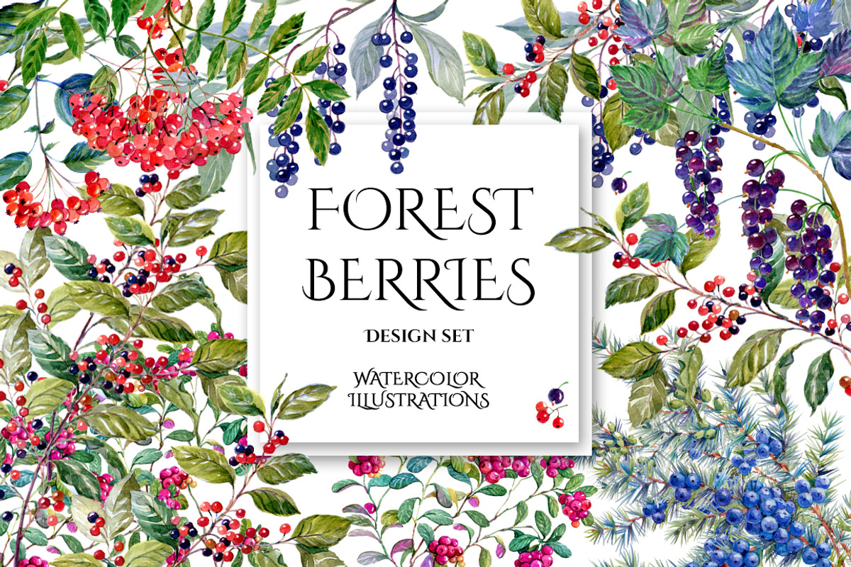 Forest Berries, an Illustration by BOIKO | Creative Market