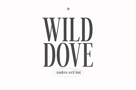 Wilde Ocean | Calligraphy Serif Font, a Serif Font by KA Designs