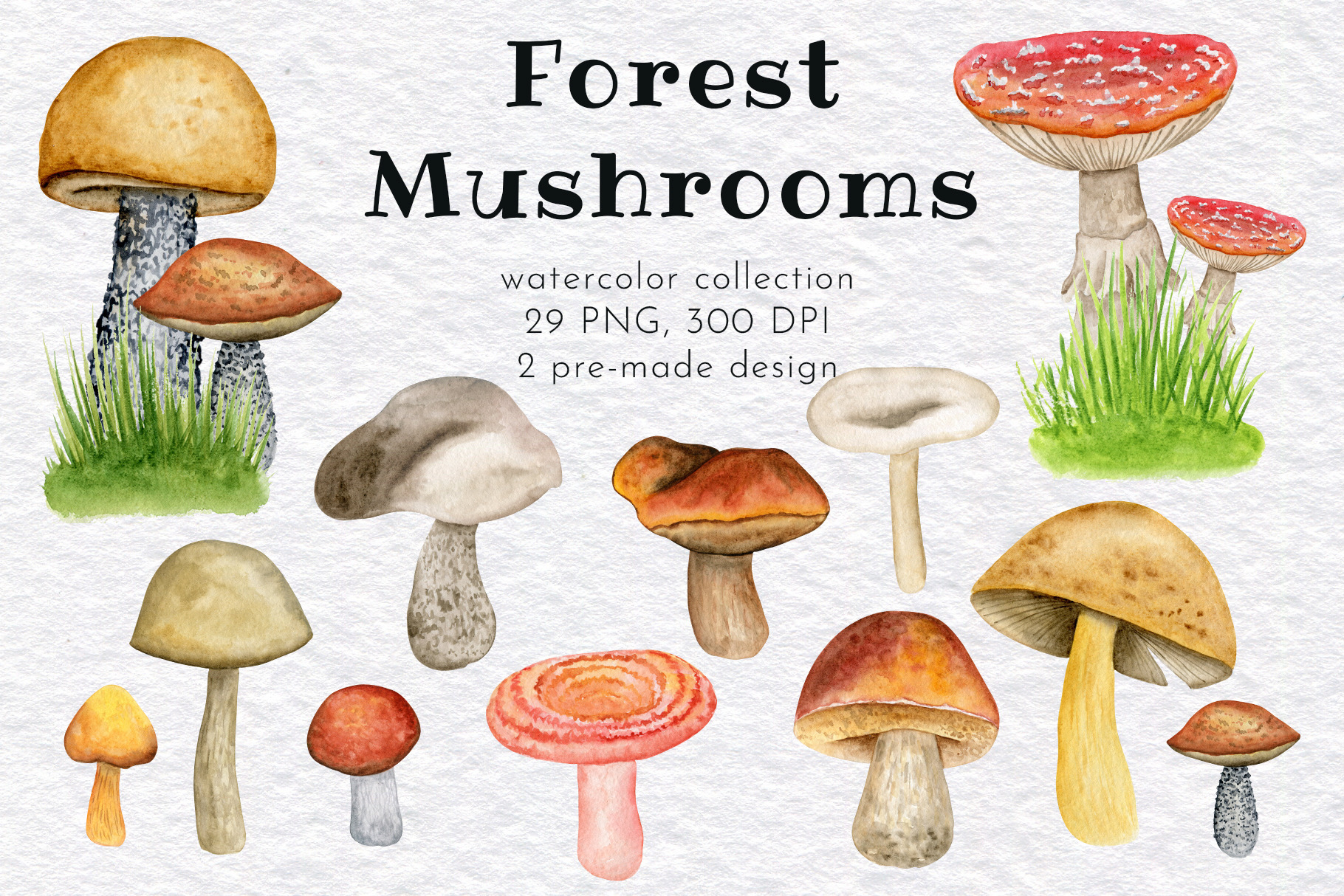 Forest Mushrooms Watercolor Clipart