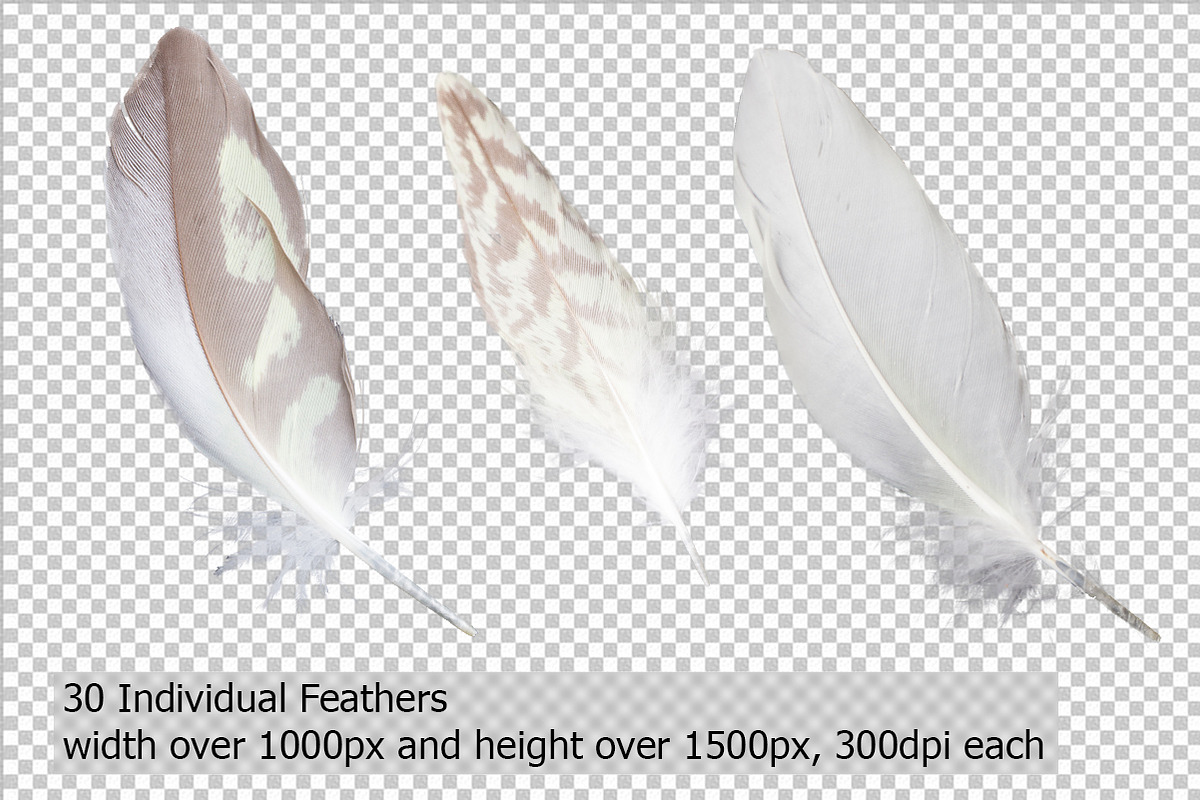 5K Feathers Overlays, an Object Graphic by ArtPlanet