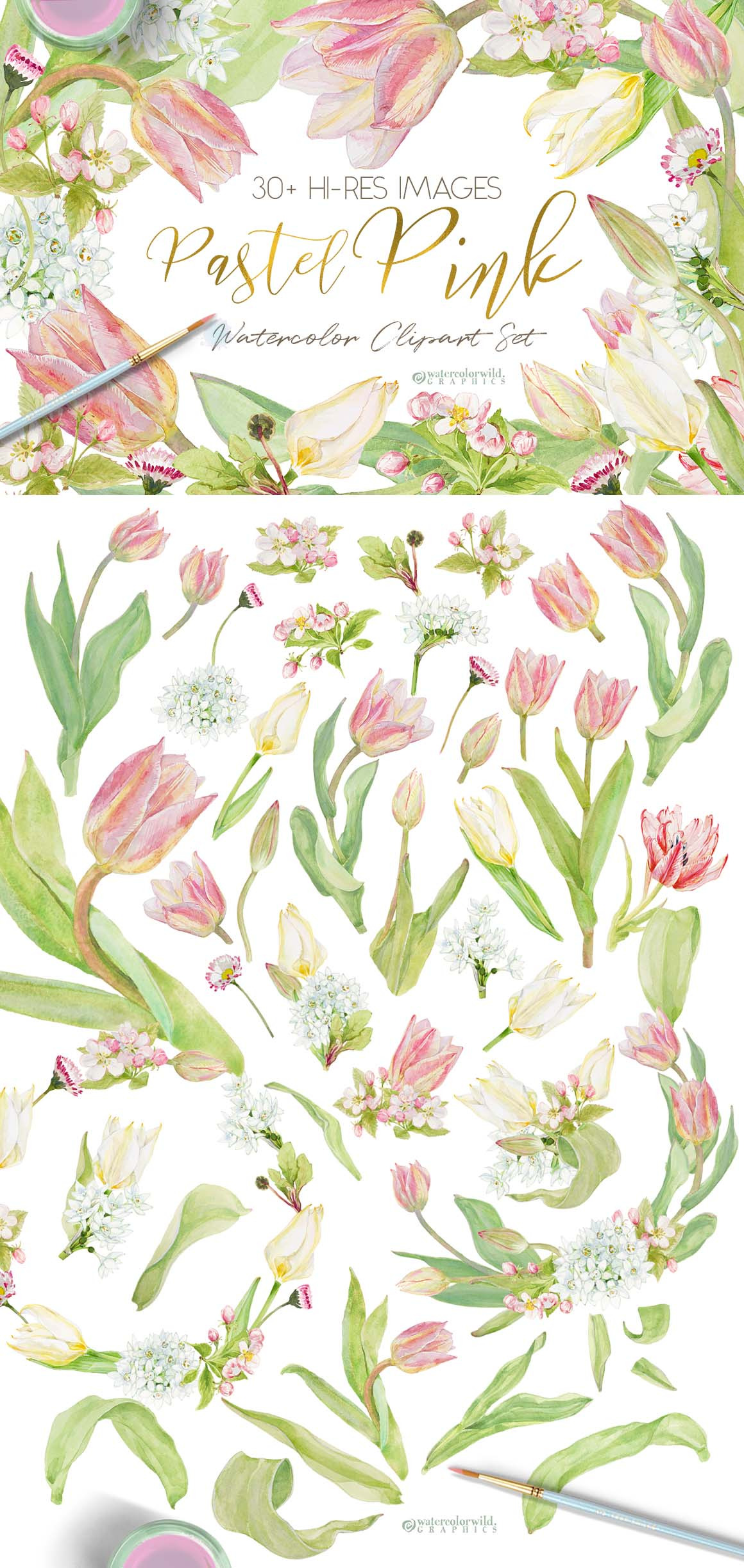 Pastel Pink-WatercolorClipartSet, an Illustration by watercolorwild ...