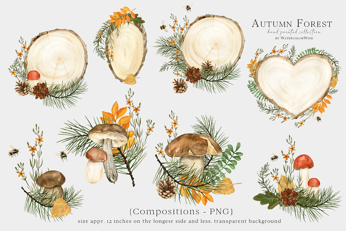 Fall forest mushrooms clipart, an Illustration by WatercolorWind