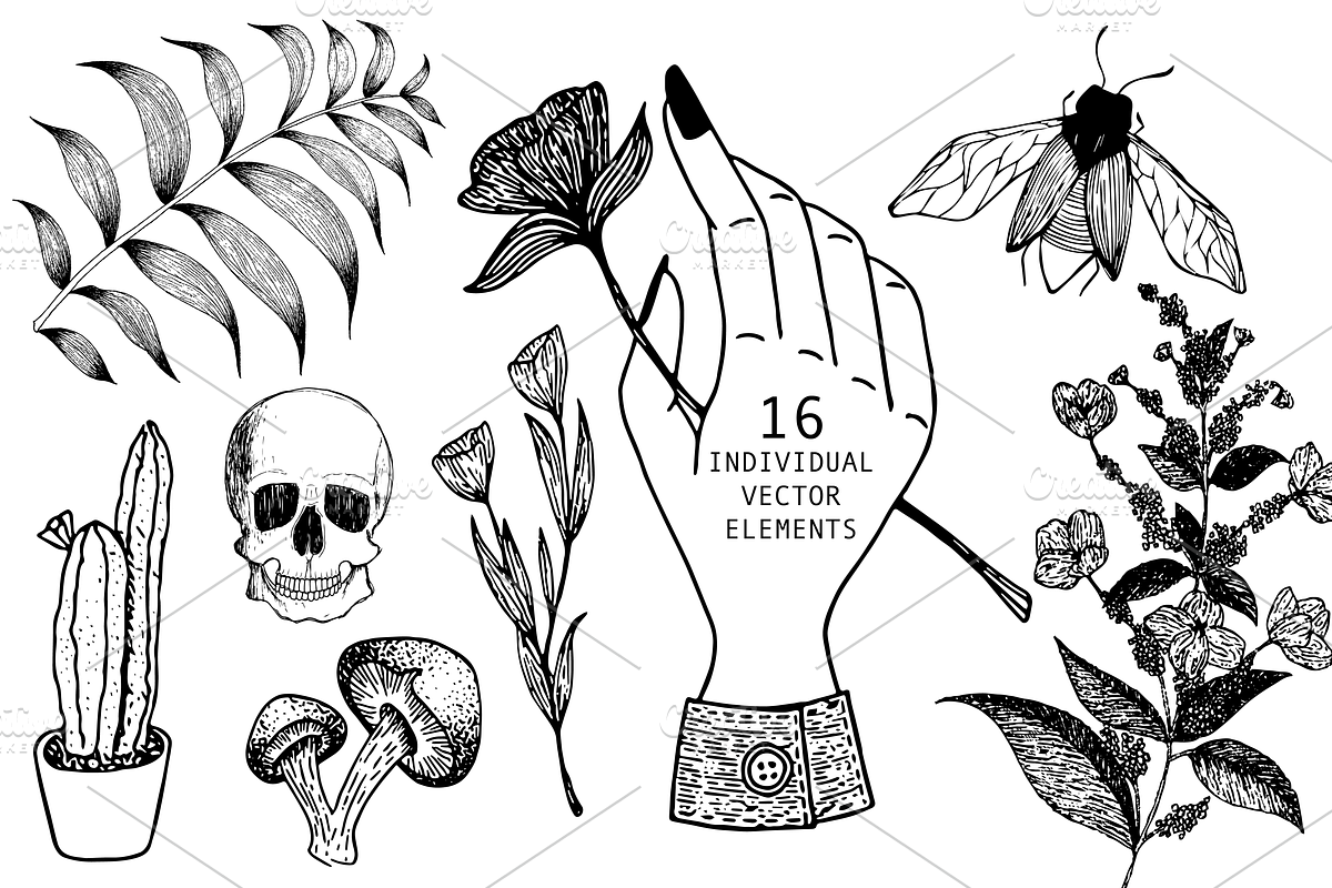 Sketchy Blackwork Vector Designs, an Illustration by Hannah Klingenberg