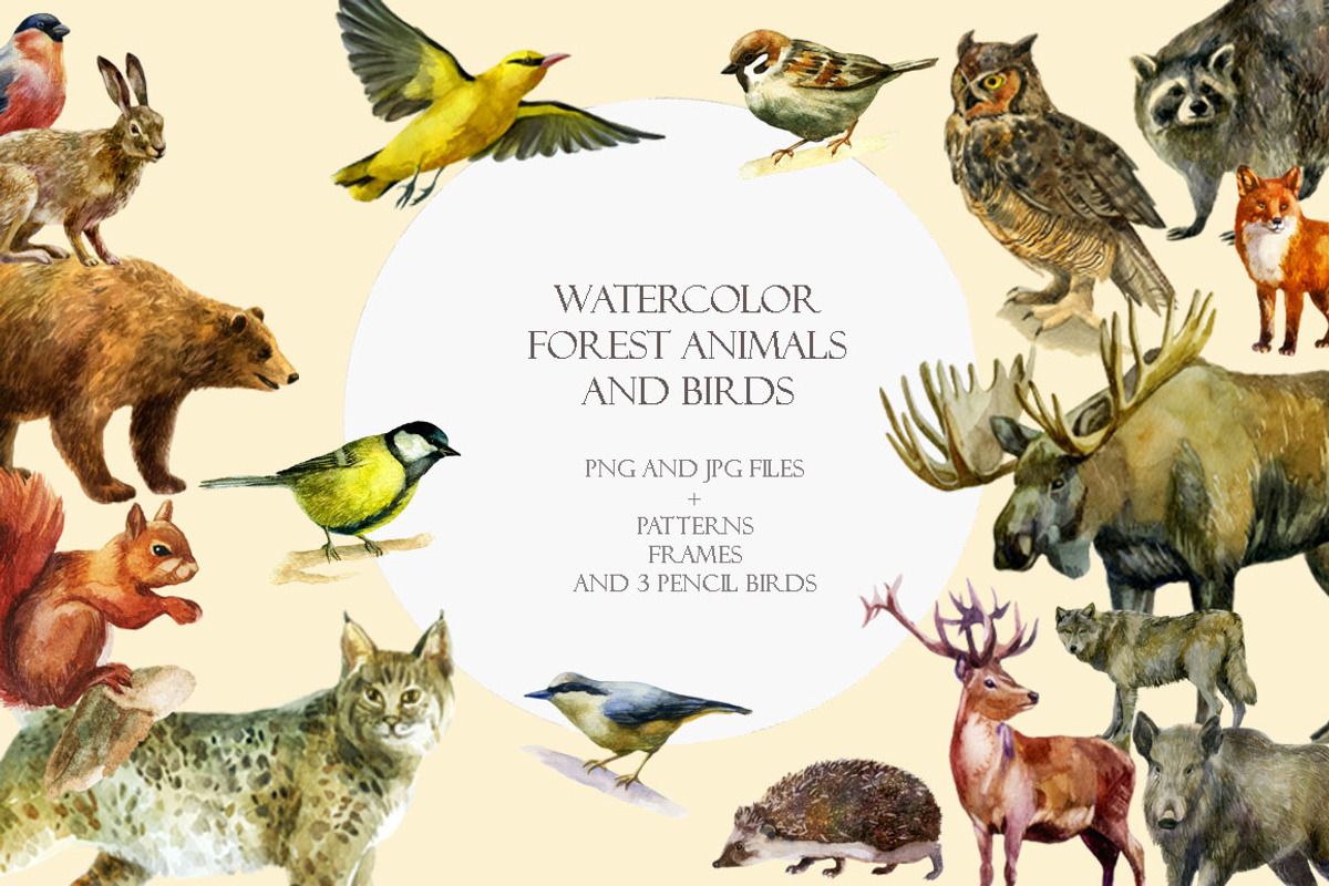 Watercolor forest animals and birds, an Animal Illustration by m-soleil