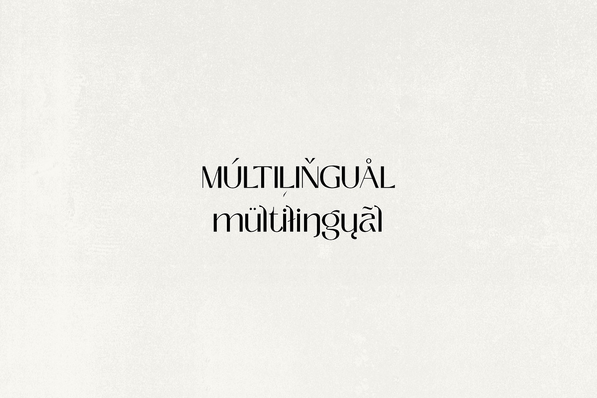 Zolina Modern Font, a Sans Serif Font by creativemedialab | Creative Market