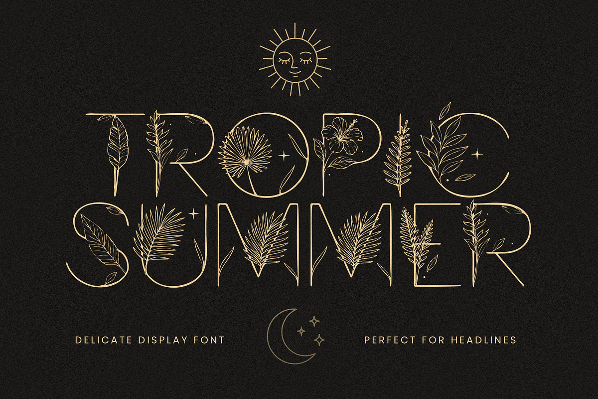 Tropic Summer - Botanical Luxury Dis, a Symbol Font by AndrewPixelType