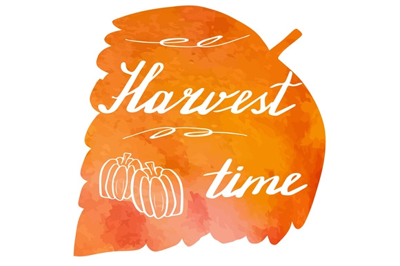 5 Autumn hand lettering designs, an Object Illustration by Sunshine Art ...