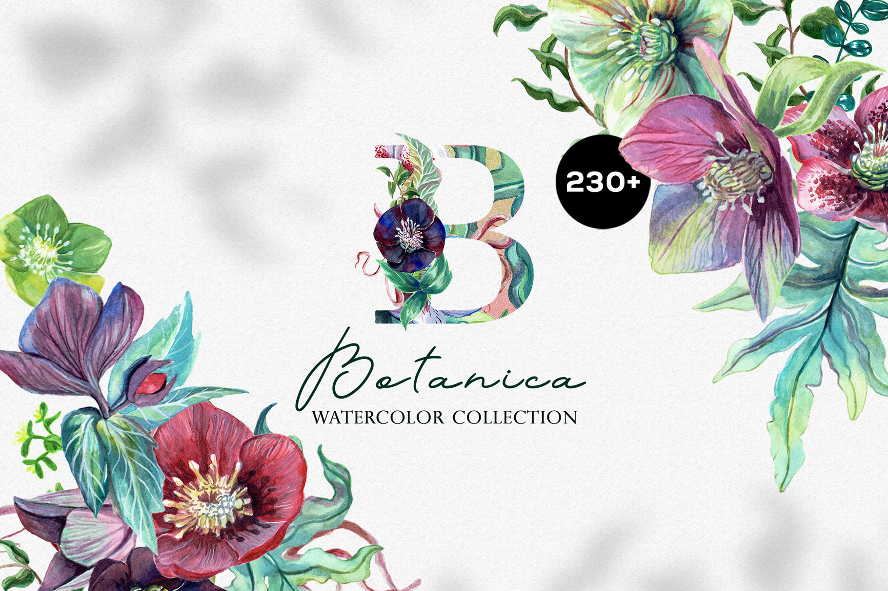 Botanica Floral &Greenery Collection, an Illustration by SunnyAfternoons