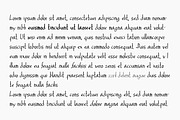 Normal B, a Script Font by TKDoodle