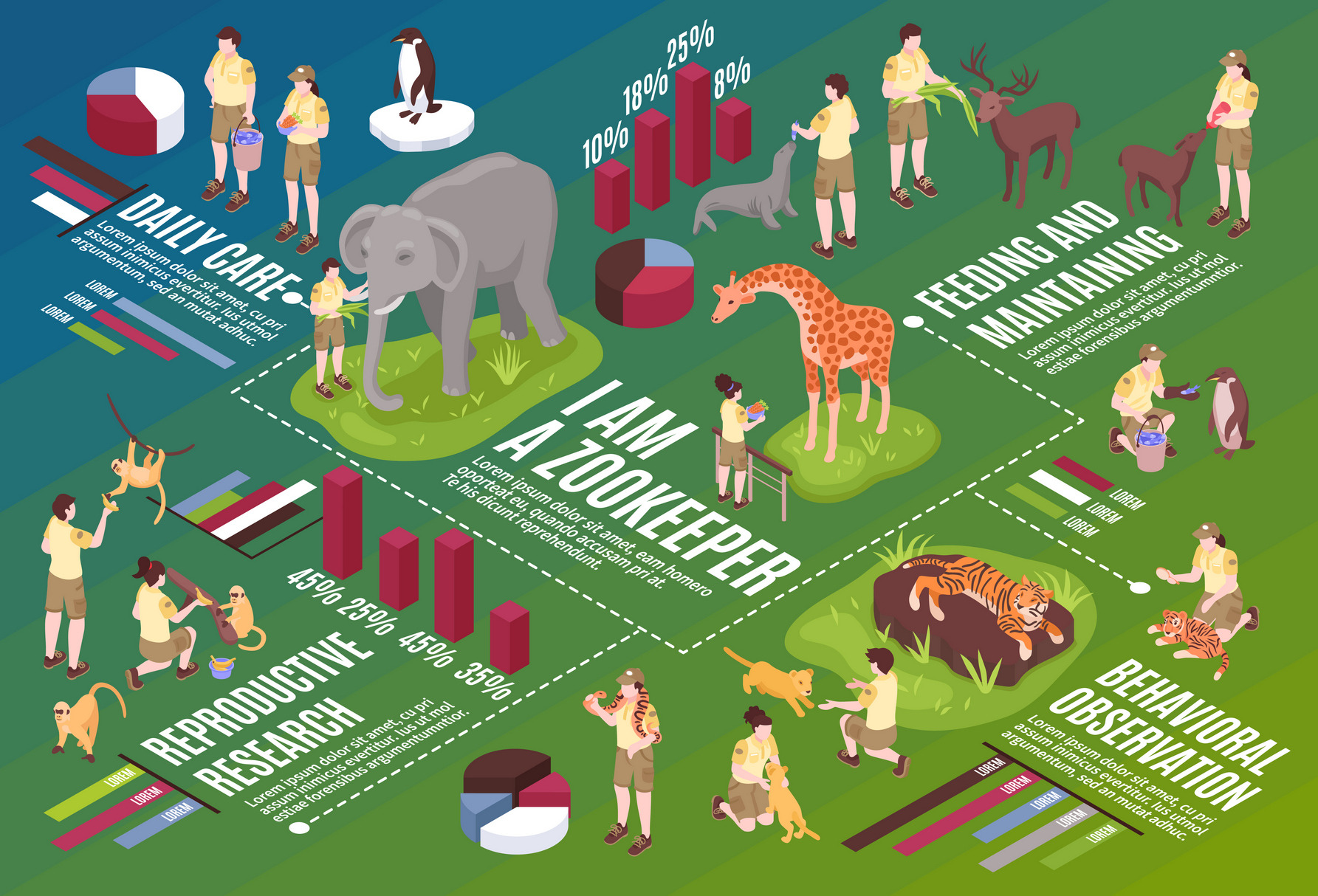 Zoo isometric infographic flowchart, an Animal Illustration by Macrovector