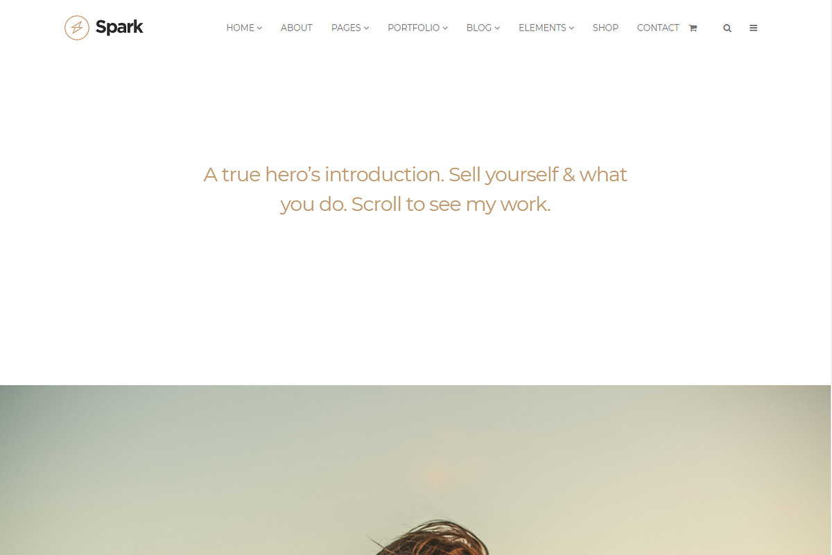 Spark Ultimate WordPress Theme & Tools