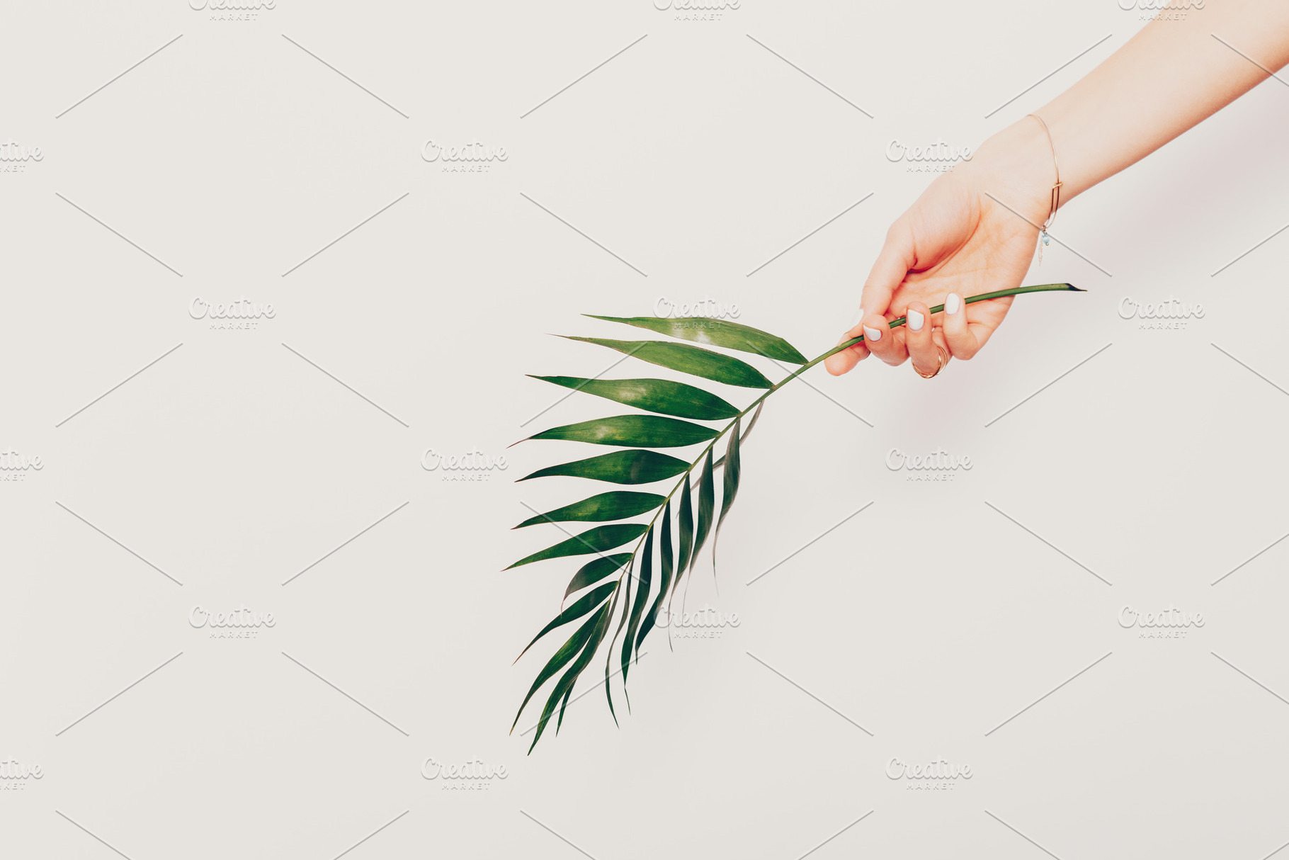 Elegant composition of female hand h, a Holiday Photo by progressman ...