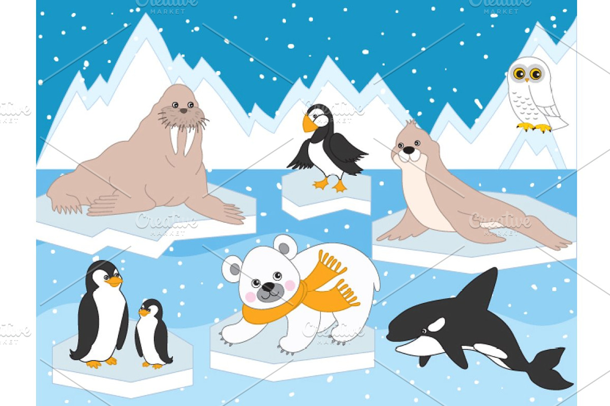 Vector Arctic Animals Clipart, an Animal Illustration by ...