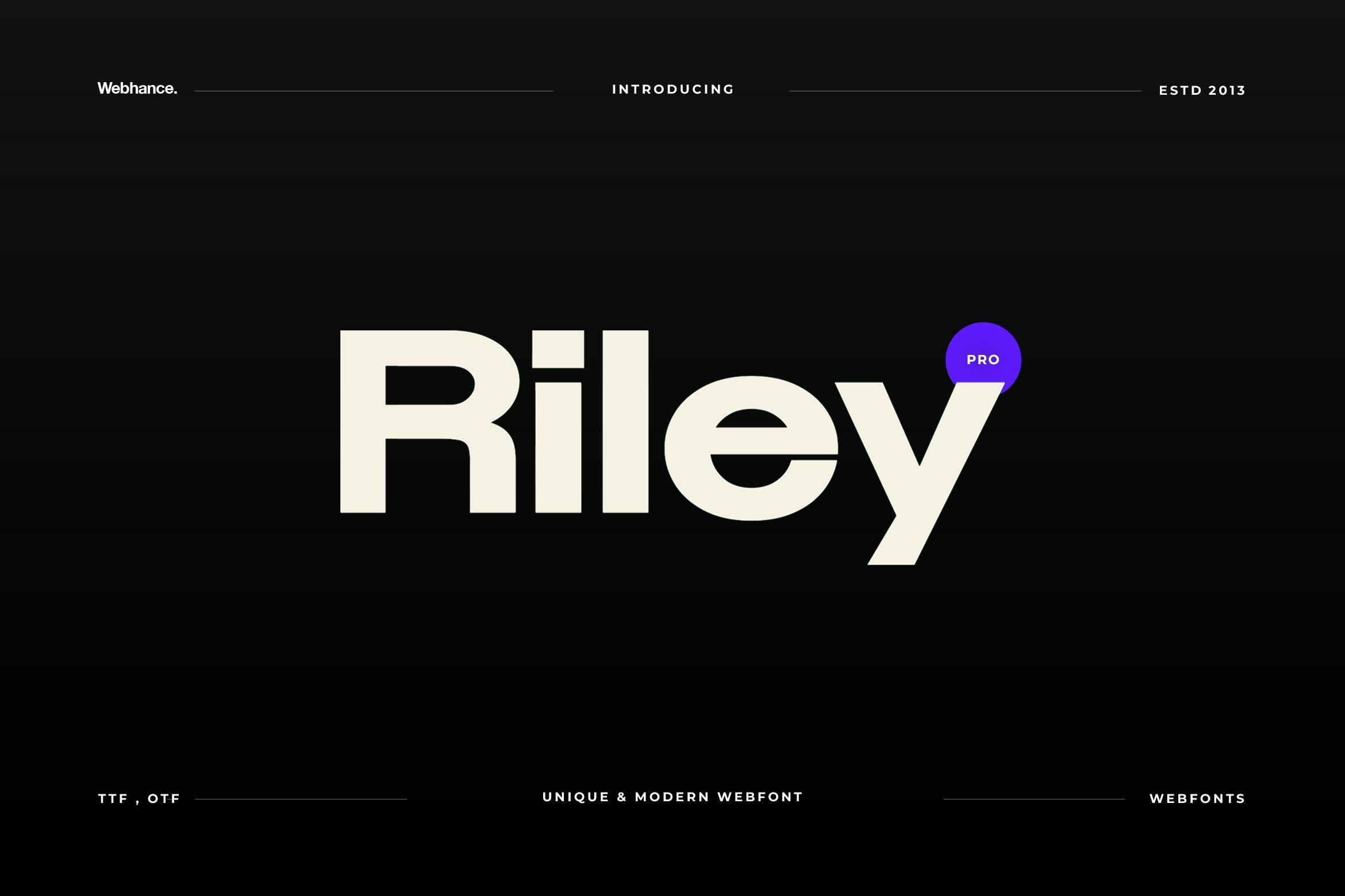 Riley - Modern Sans-Serif Font famil, a Sans Serif Font by Webhance Studio