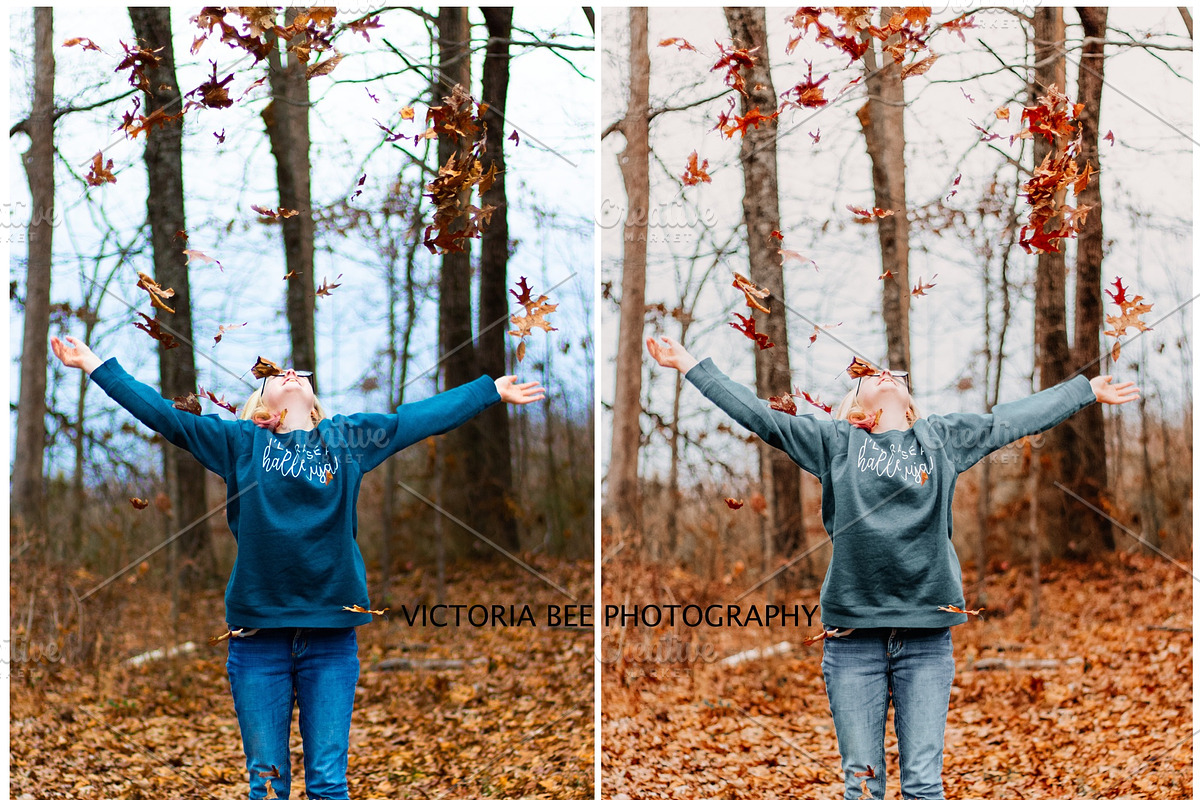 30 MOODY AUTUMN PRESETS, a Preset Add-On by Victoria Bee Presets