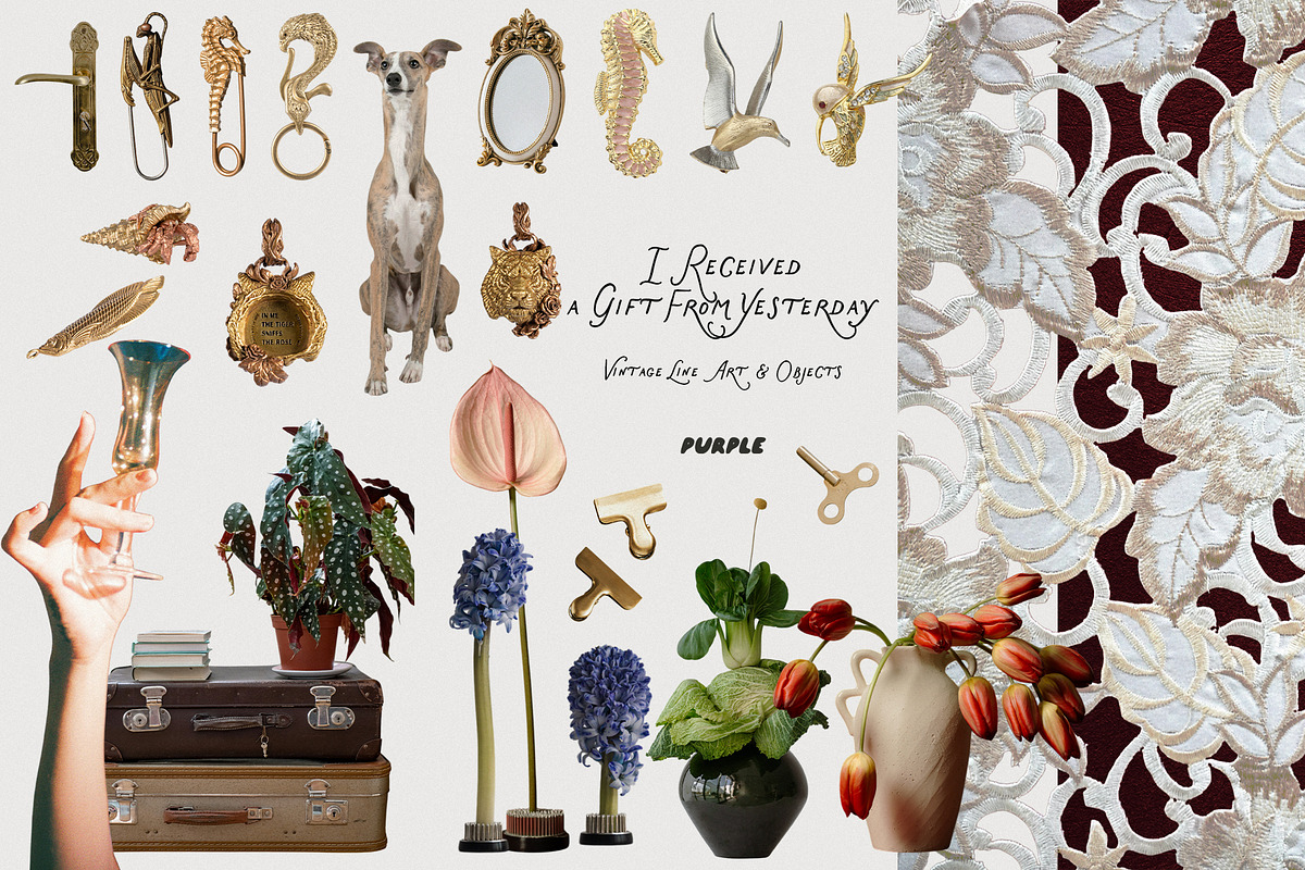 Vintage Objects & Line Art