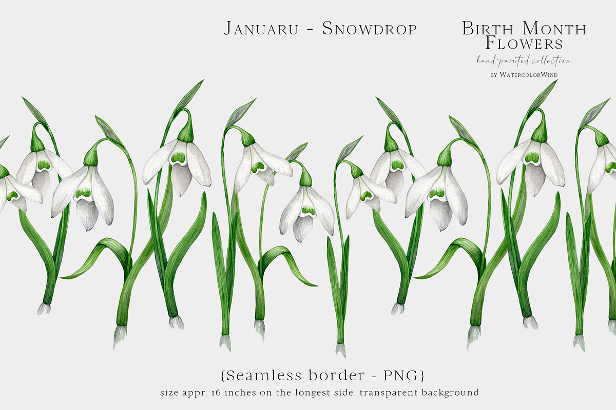 Snowdrop Birth Month Flower Clipart, an Illustration by Ksenia Shmakova