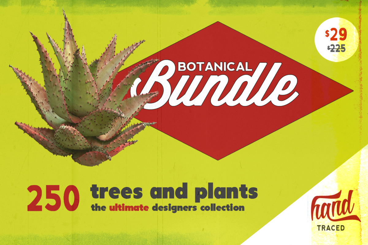 Botanical Bundle - 250 Plants *SALE*, an Object Graphic by envirographic