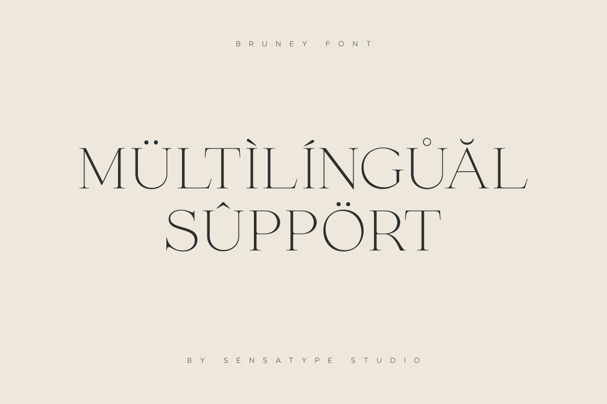 Bruney - Classy Ligature Font, a Serif Font by Sensatype