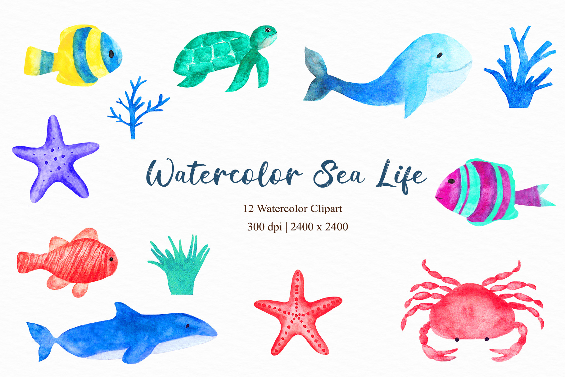 Watercolor Sea Life Clipart, an Animal Illustration by BonaDesigns