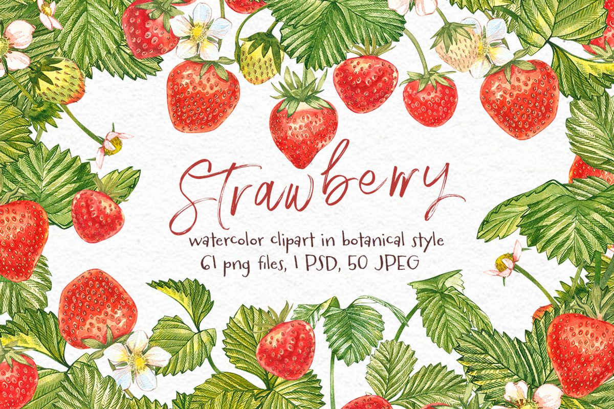 Strawberry illustrations, a Food Illustration by Ann Astro