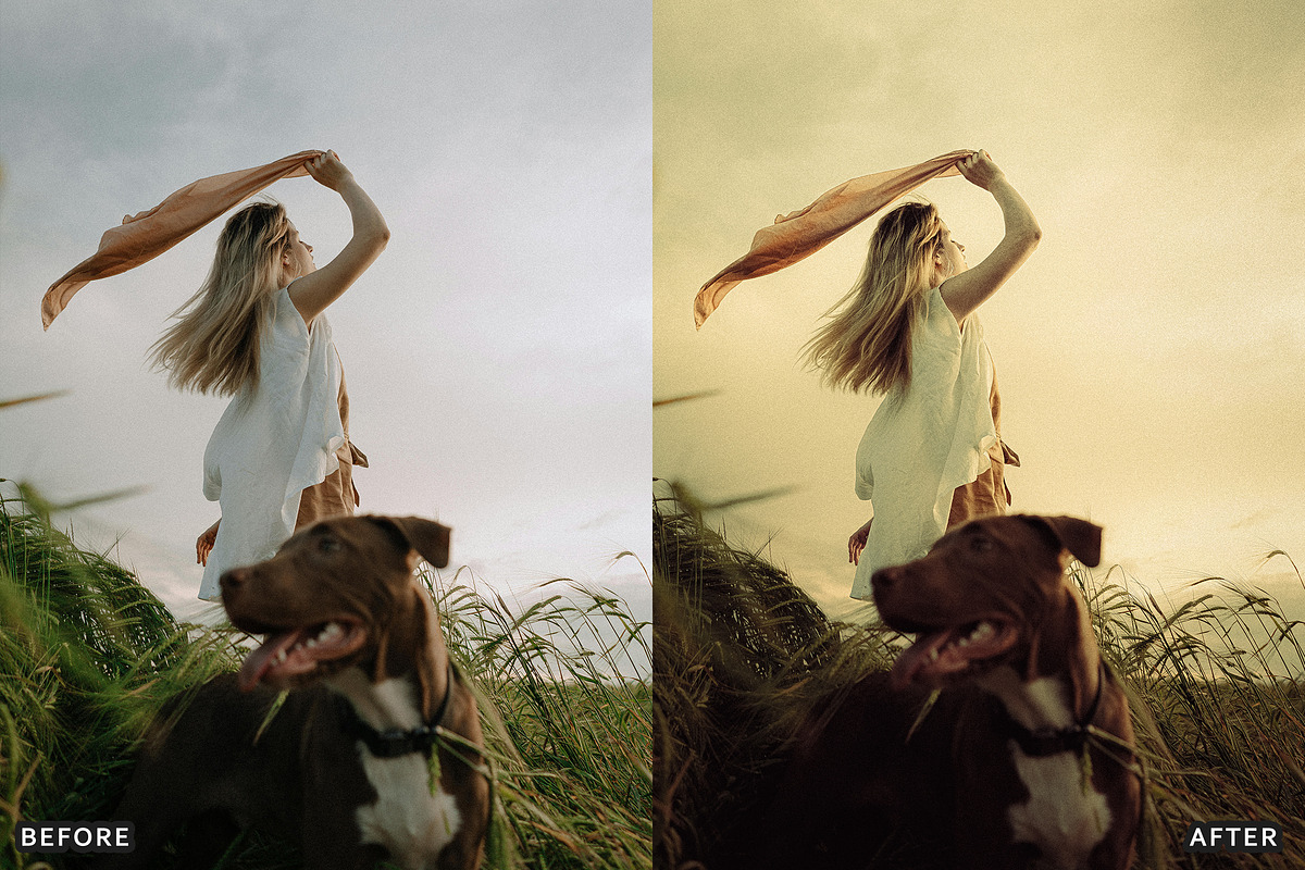 AI-Optimized Amber Forest Dream Lightroom Presets