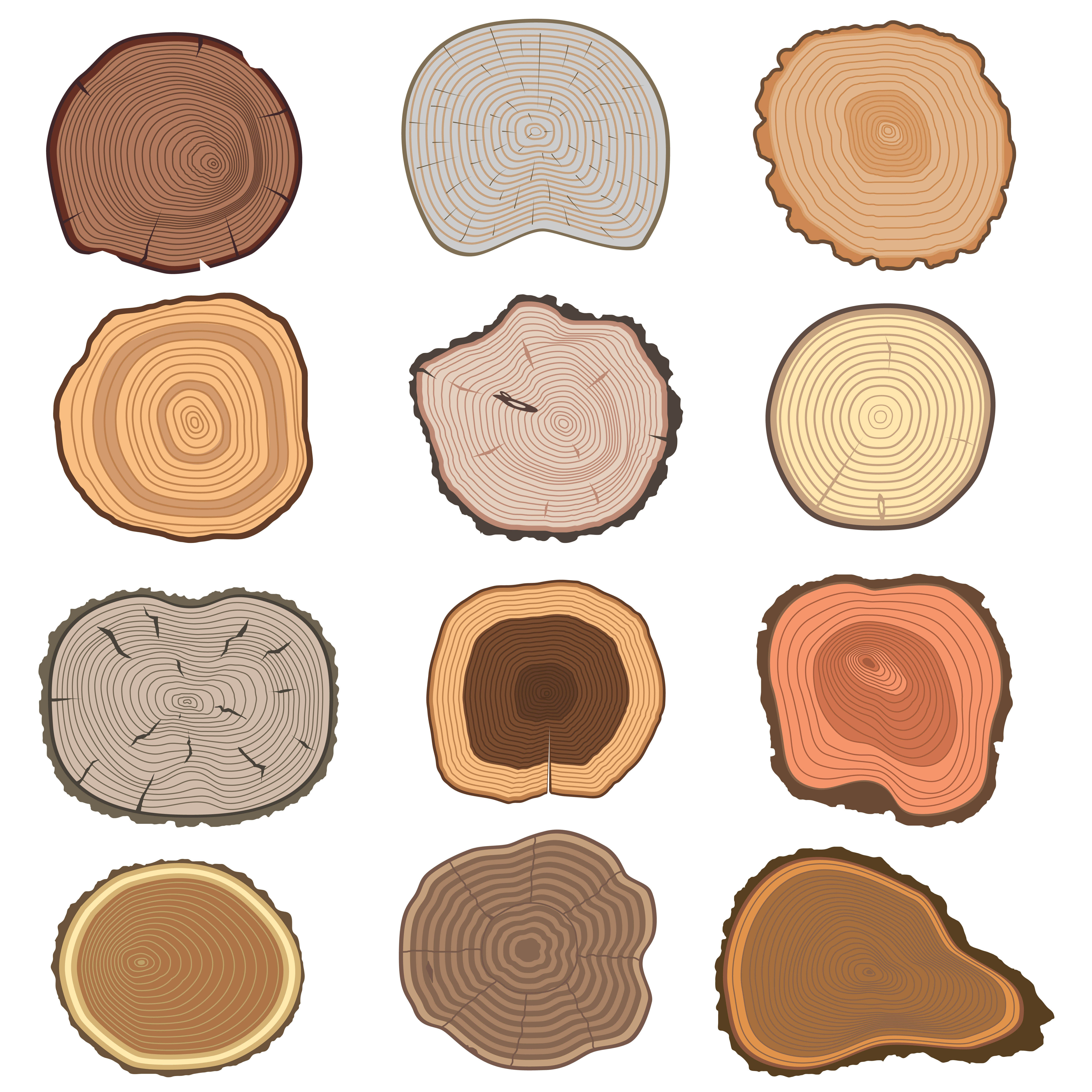 Wood slice texture vector set | Texture Illustrations ~ Creative Market