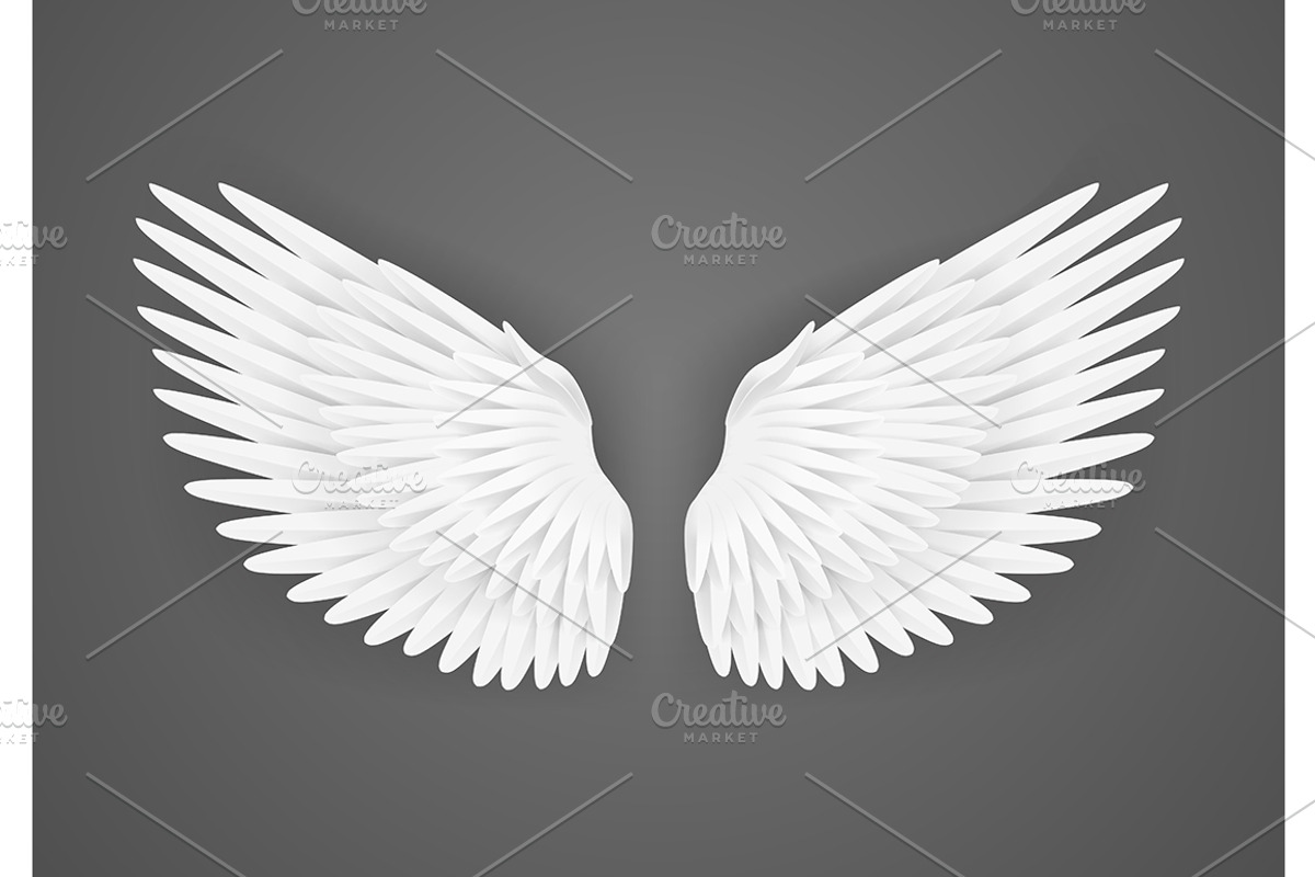 Blank Wings Template Mockup, an Object Graphic by Bigmouse_art