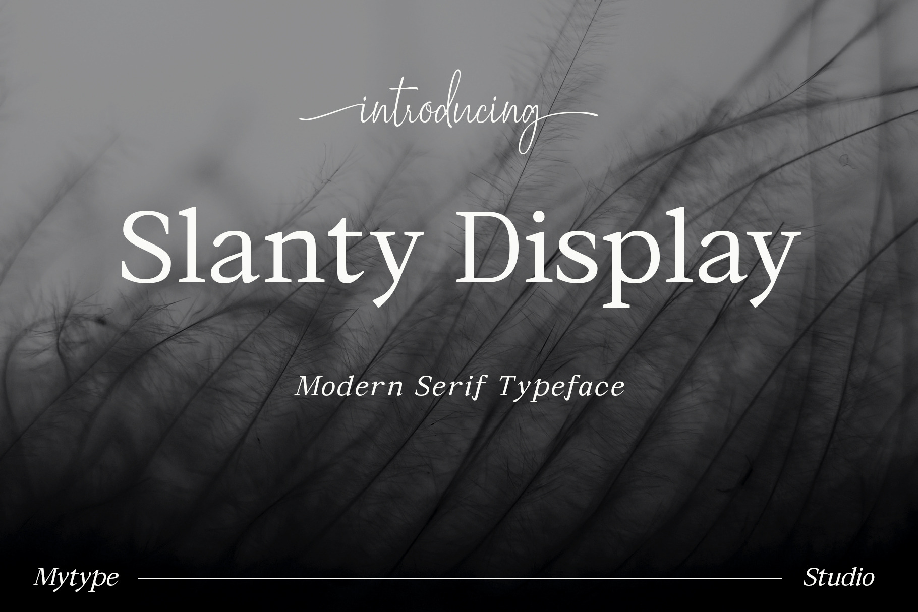 Slanty Display - Serif Typeface, a Serif Font by Mytype Studio