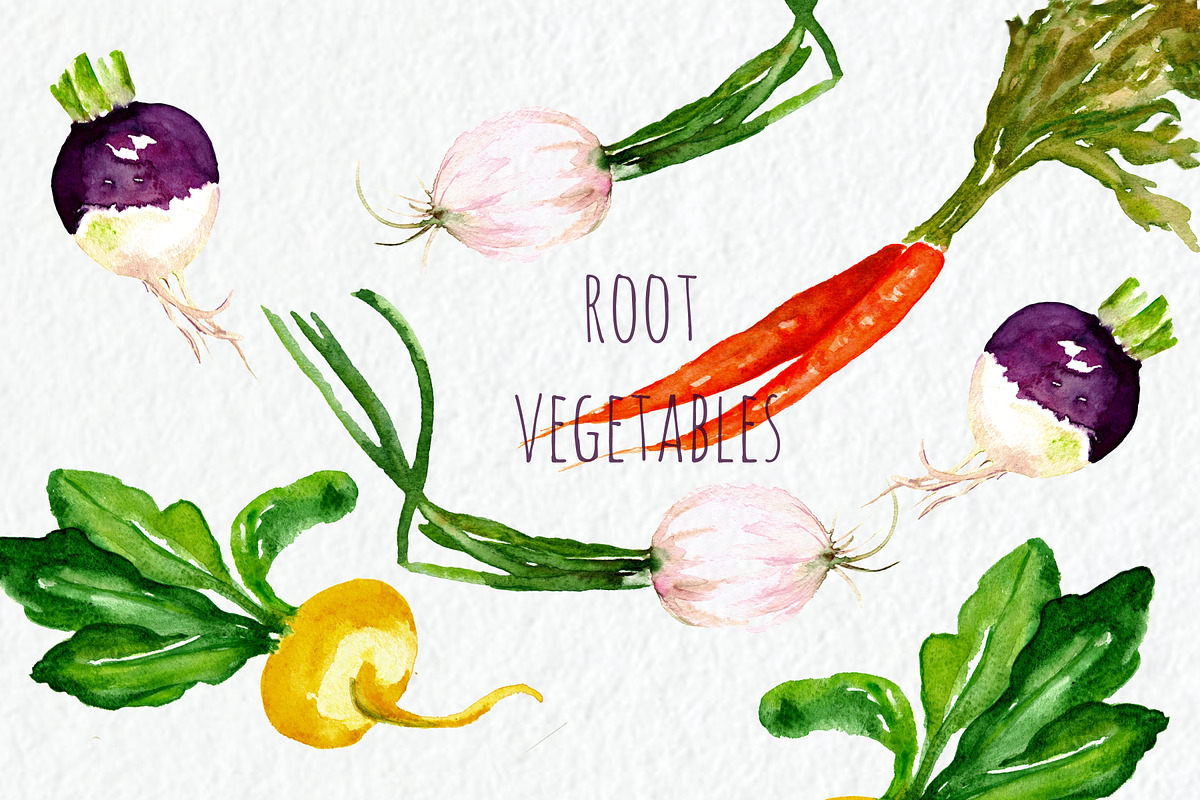 Root vegetables. Watercolor Clipart, a Graphic by LABFcreations