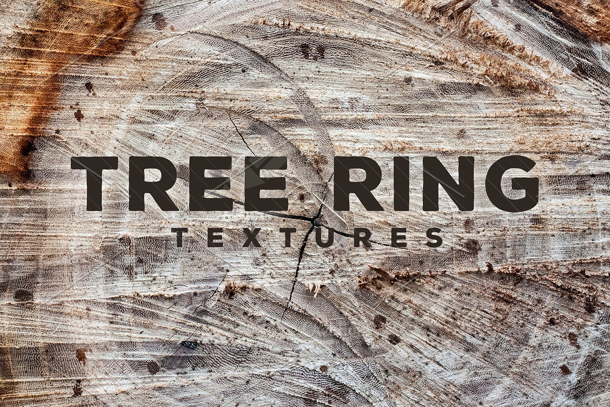 14 Tree & Wood Ring Textures, a Nature Photo by WeGraphics