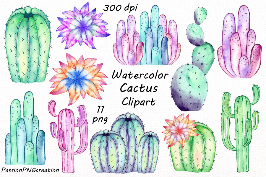 Watercolor Cactus Clipart, an Illustration by PassionPNGcreation