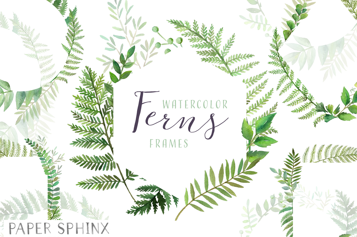 Watercolor Fern Frames, an Illustration by PaperSphinx