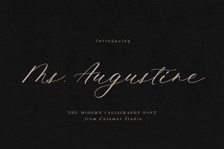 Modern Calligraphy Font Bundle, a Script Font by Calamar Studio
