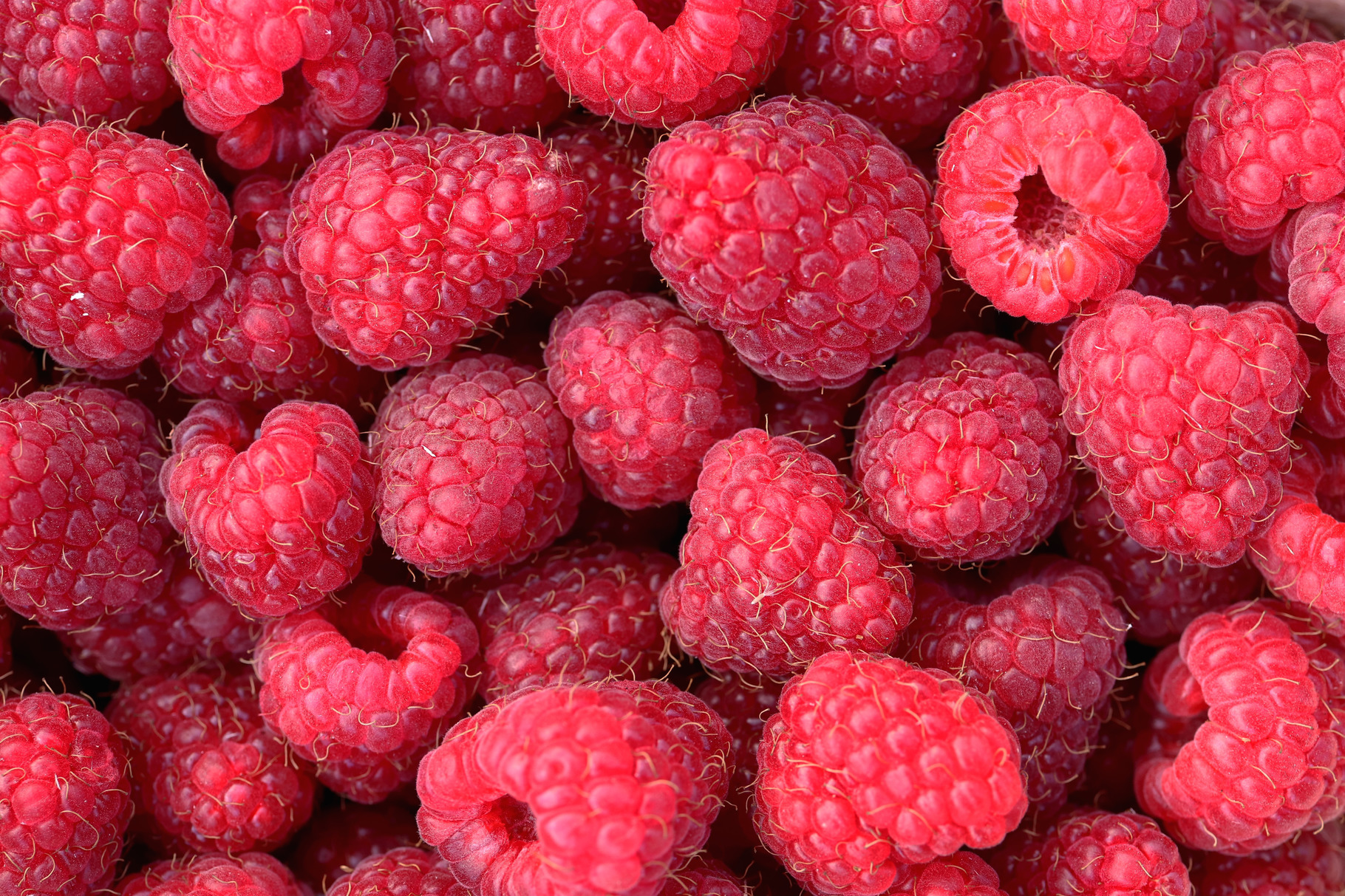 Raspberry filling texture featuring texture, background, and surface, a ...