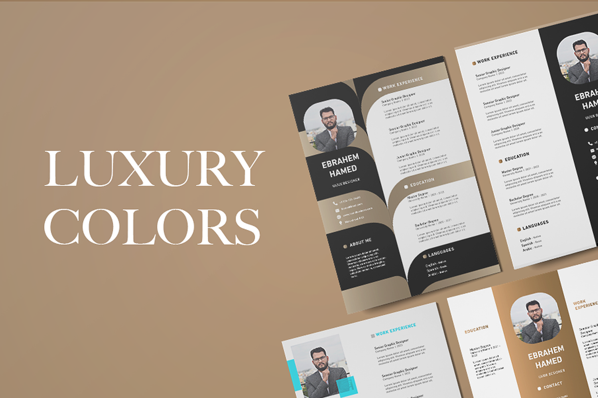 100 Resume - luxury templates, a Resume Template by Hamed Studio