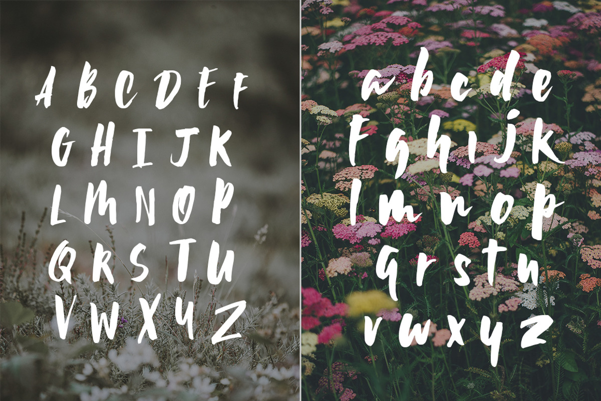 Wildflower Font, a Font by Salt & Pepper Designs | Creative Market