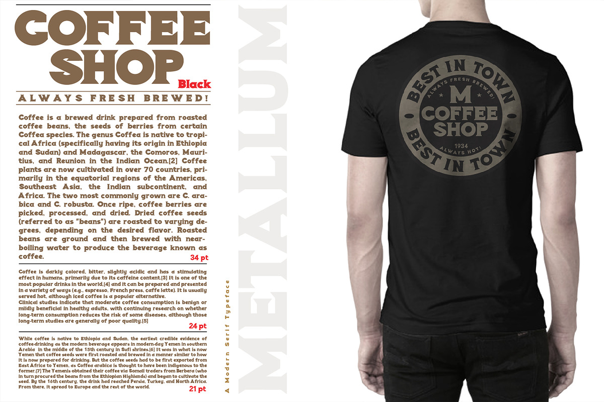 Metallum-Serif Font Family, a Serif Font by Artistic & Unique ...