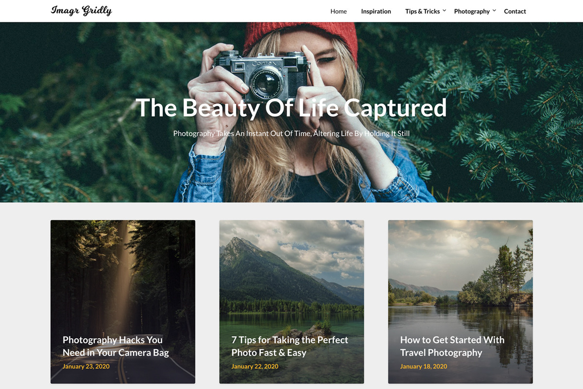 Image Gridly Premium, a WordPress Template by SuperbThemes