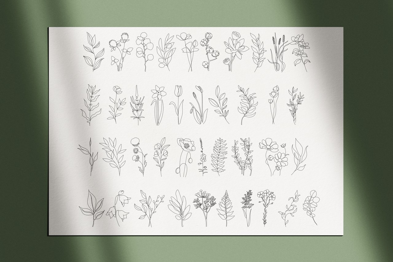 Botanical Line Art Illustration, a Decorative Illustration by velychko.ua