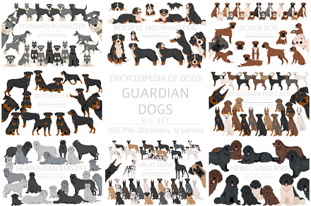 Linear dogs collection, an Animal Illustration by pet design shop